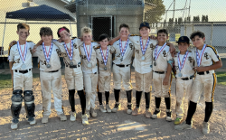 Golden Eagle Baseball > Home